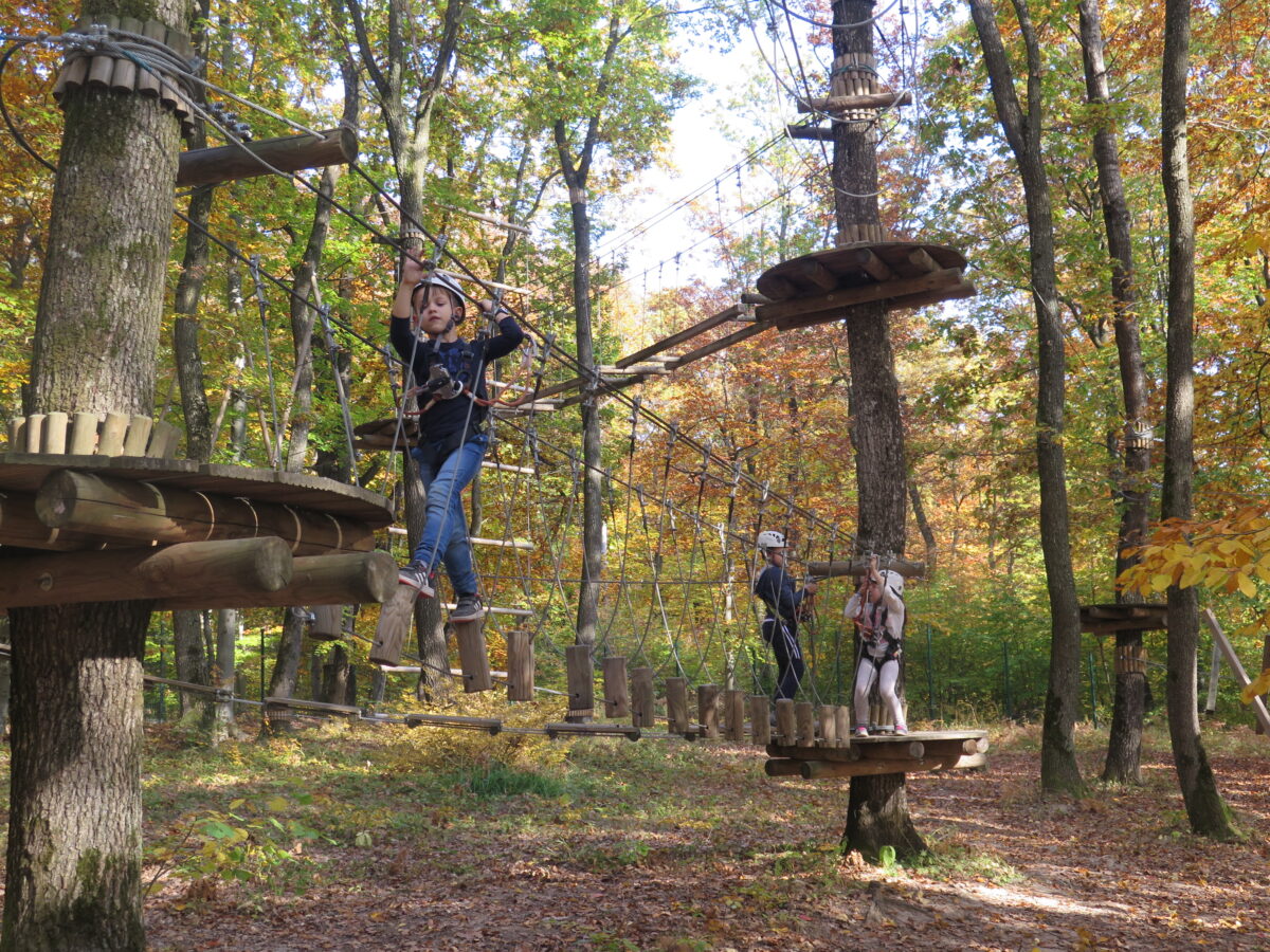 Adventure Courses - Adrenalin Park